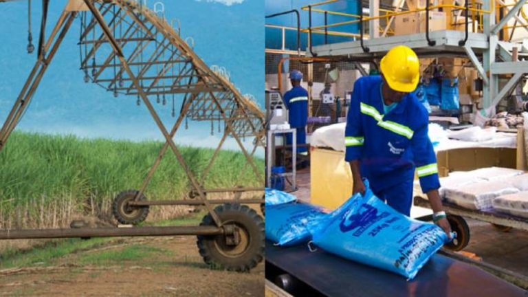 Industrialization - TanzaniaInvest