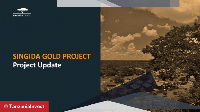 Singida Gold Mine to Start Production in March 2023 - TanzaniaInvest