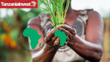 African Development Bank Grants $2.5 Million to Boost Tanzanian ...