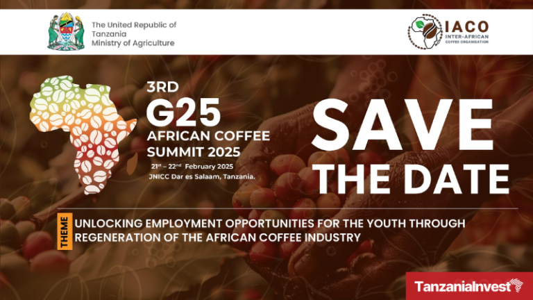 Mission 300 Africa Energy Summit: Dar es Salaam, 27th to 28th January ...