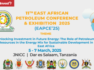 Mission 300 Africa Energy Summit: Dar es Salaam, 27th to 28th January ...