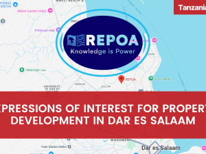 Guide to Buying Land and Real Estate in Mainland Tanzania for Foreign ...