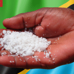 Agriculture in Tanzania- TanzaniaInvest