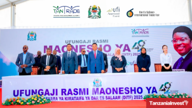 Dar es Salaam International Trade Fair 2025 Closes With TZS 448.7B in ...