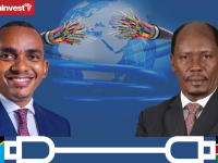 Tanzania to Complete Nationwide Fiber Optic Network Connectivity by ...