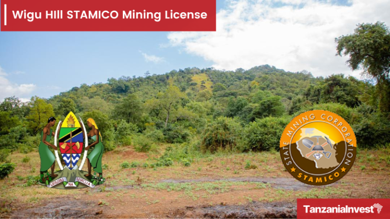 Tanzania’s State Mining Corporation STAMICO Awarded Large-Scale Rare ...