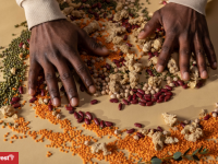 TPC Announces TZS 112.5 Billion Investment for New Molasses Plant in ...