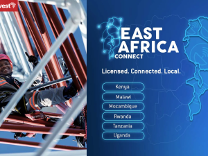 Tanzania to Complete Nationwide Fiber Optic Network Connectivity by ...