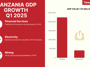 President Samia Launches Tanzania Development Vision 2050 Targeting USD ...