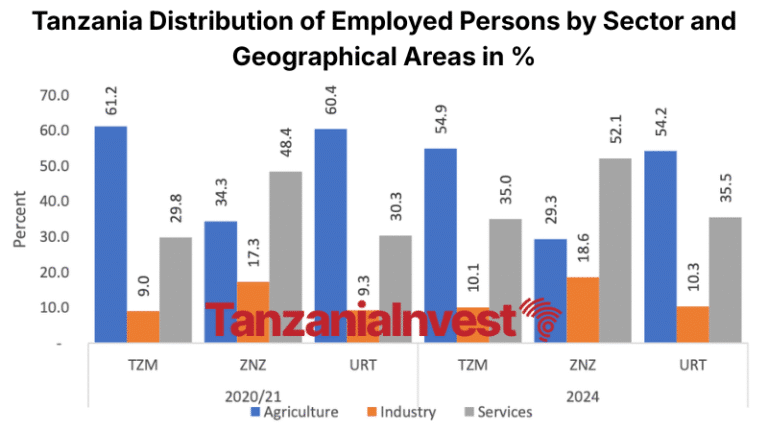Tanzania's Unemployment Drops to 6.2% and Average Wages Rise to TZS ...